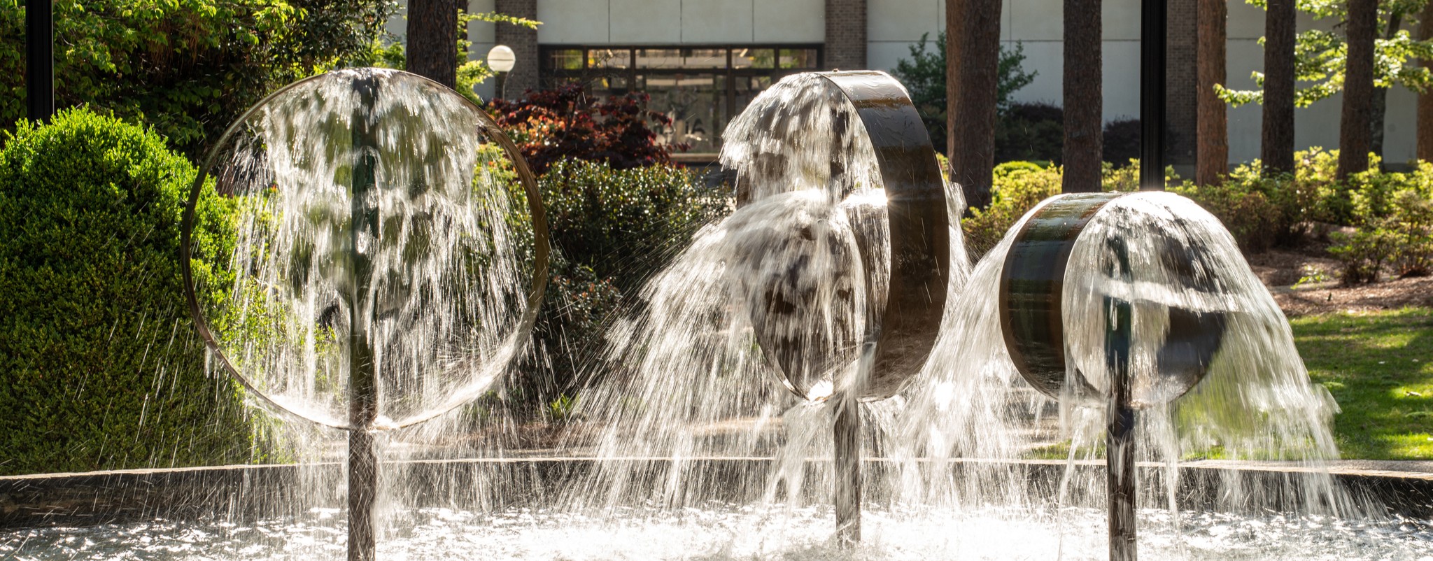 Faculty Resources | USCA